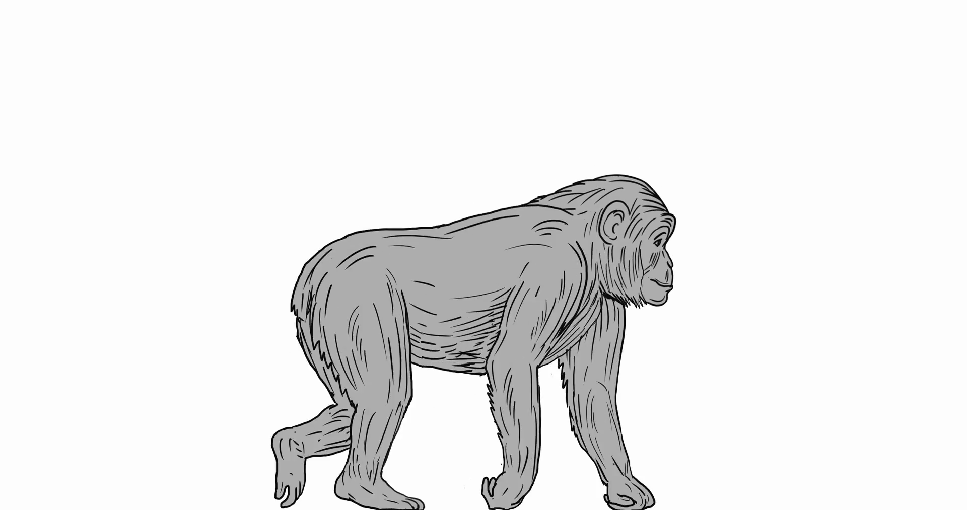 2d Animation Drawing at PaintingValley.com | Explore collection of 2d ...