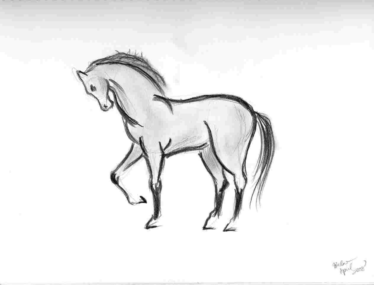 Animals Drawing Images At PaintingValley Explore Collection Of Animals Drawing Images At PaintingValley Explore Collection Of