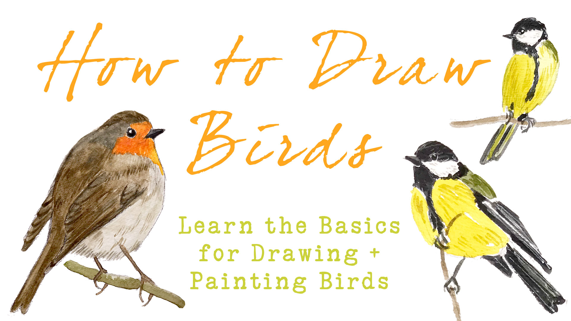 Basic Bird Drawing at PaintingValley.com | Explore collection of Basic ...