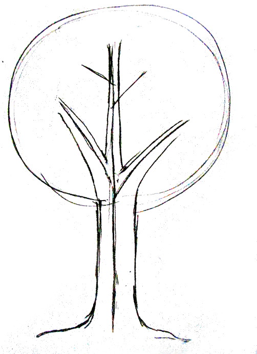 Basic Tree Drawing at PaintingValley.com | Explore collection of Basic ...