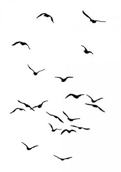 Bird In Flight Drawing at PaintingValley.com | Explore collection of ...