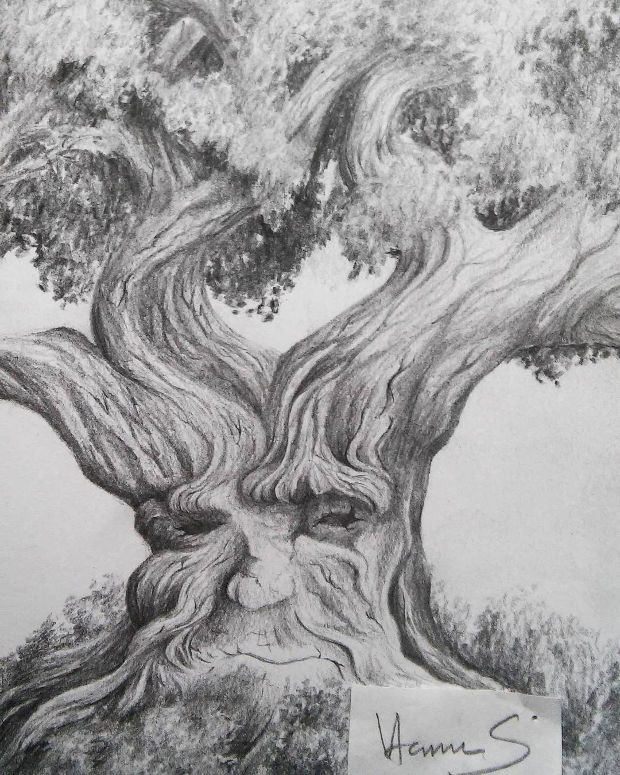 Black And White Tree Drawing at PaintingValley.com | Explore collection ...