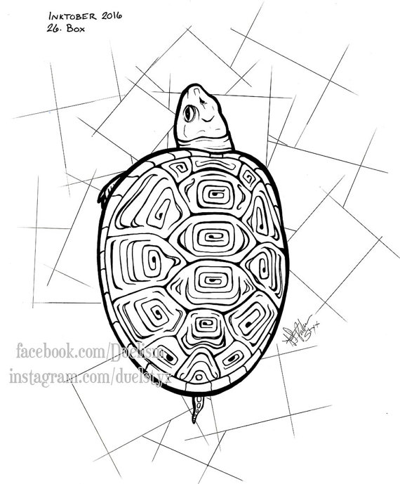 Box Turtle Drawing at PaintingValley.com | Explore collection of Box ...