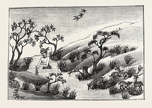 Burmese Python Drawing at PaintingValley.com | Explore collection of ...