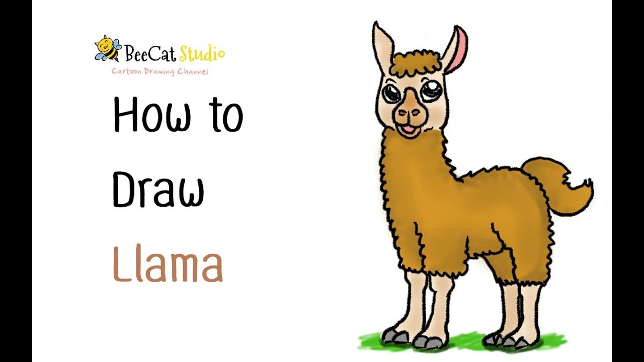 Cartoon Llama Drawing at PaintingValley.com | Explore collection of ...