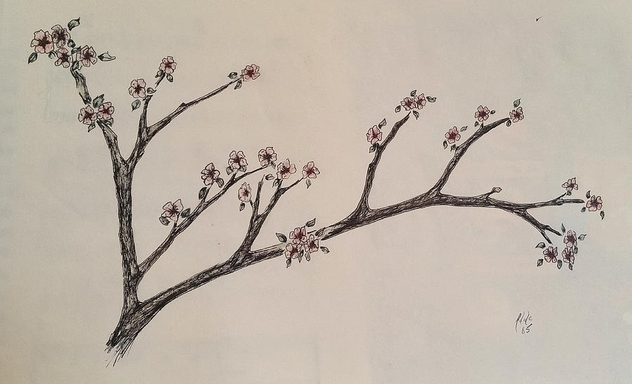 Cherry Tree Drawing at PaintingValley.com | Explore collection of ...