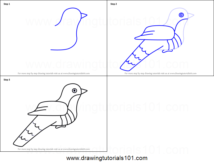 Cuckoo Drawing at PaintingValley.com | Explore collection of Cuckoo Drawing