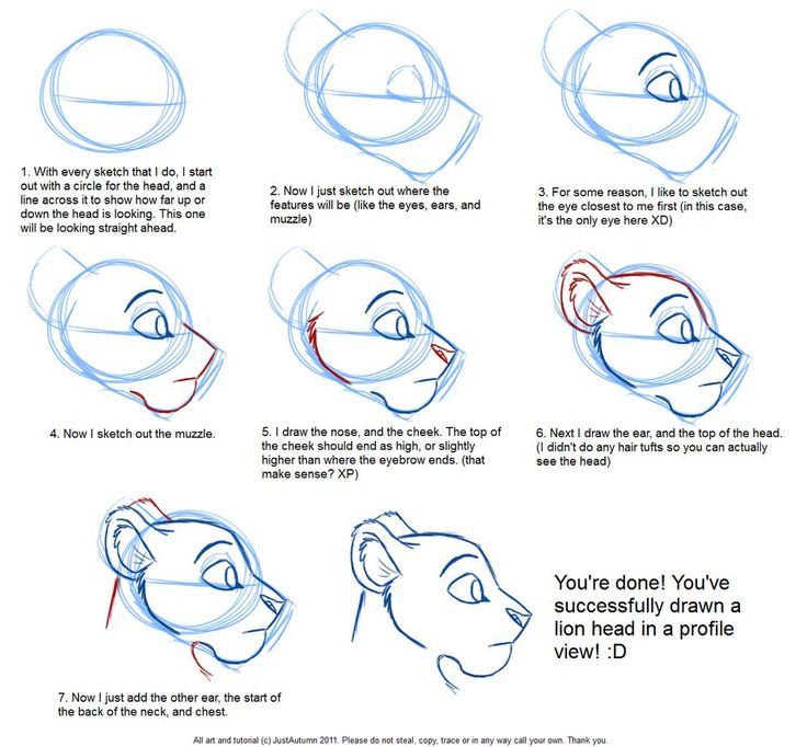 Disney Drawing Tutorials at PaintingValley.com | Explore collection of ...