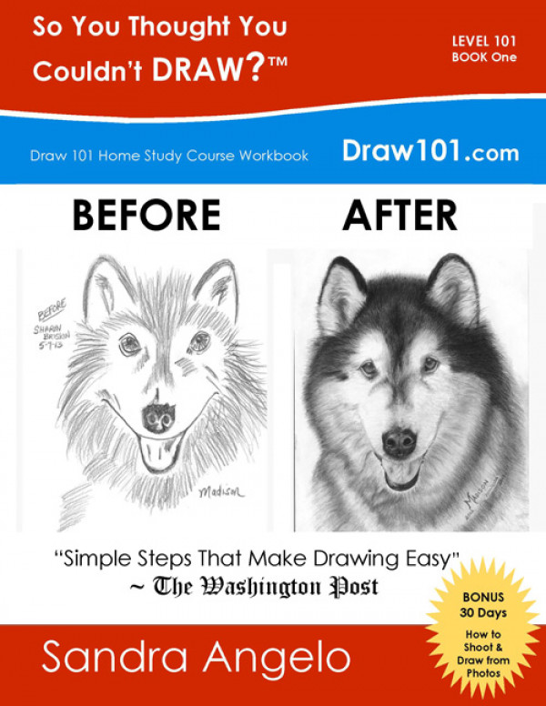 Drawing 101 at PaintingValley.com | Explore collection of Drawing 101