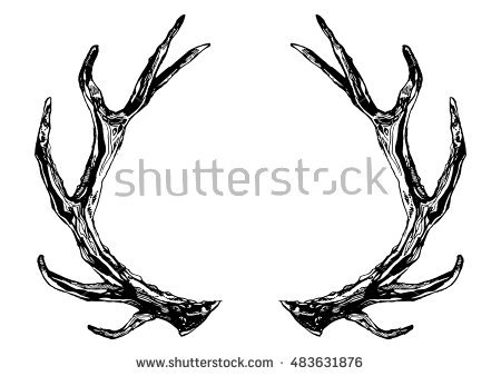 Elk Antler Drawing at PaintingValley.com | Explore collection of Elk Antler Drawing