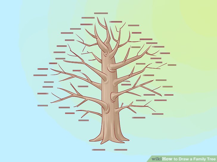 Family Tree Drawing at PaintingValley.com | Explore collection of ...