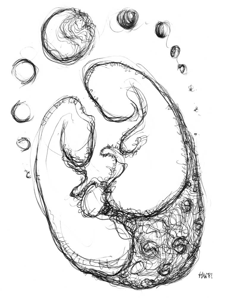 Free Drawing Pictures at PaintingValley.com | Explore collection of ...