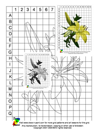 Grid Pattern Drawing at PaintingValley.com | Explore collection of Grid ...