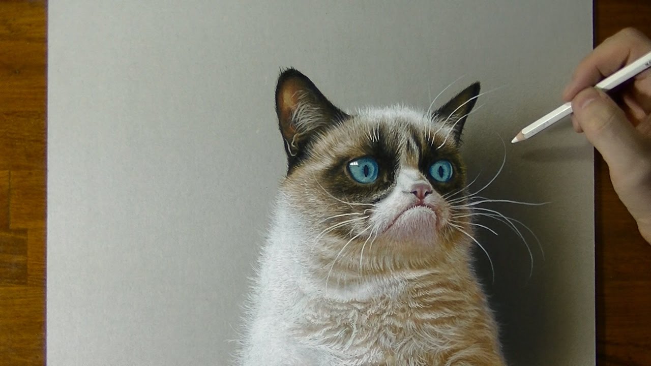 Grumpy Cat Drawing at PaintingValley.com | Explore collection of Grumpy ...