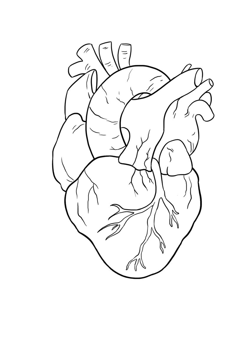 42 How To Draw Simple Heart Diagram Gif World Of Images