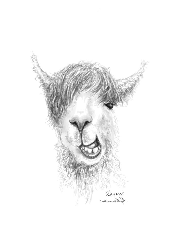Llama Drawing at PaintingValley.com | Explore collection of Llama Drawing