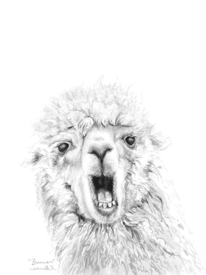 Llama Drawing at PaintingValley.com | Explore collection of Llama Drawing