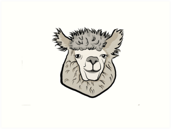 Llama Face Drawing at PaintingValley.com | Explore collection of Llama ...