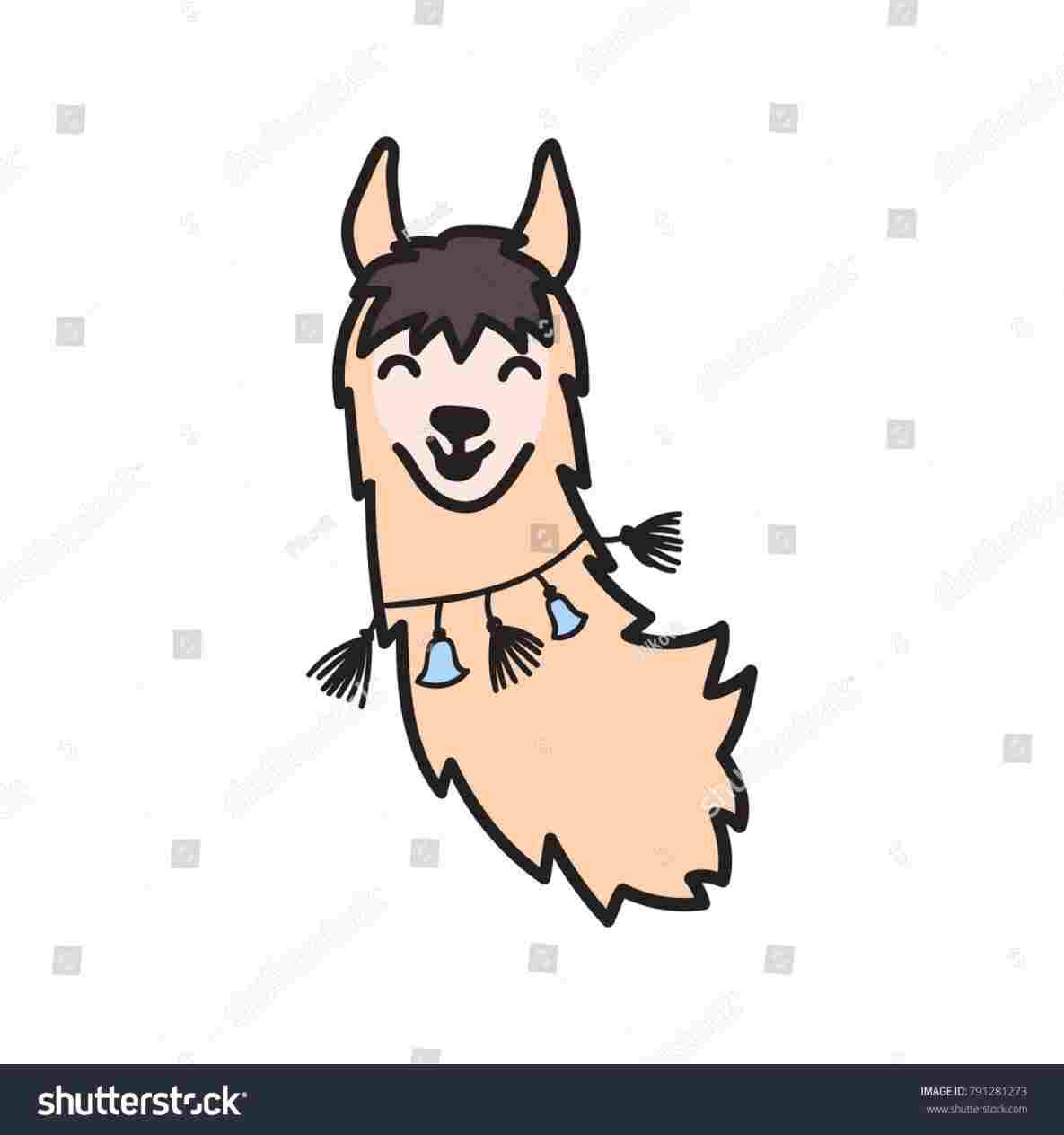 Llama Face Drawing at PaintingValley.com | Explore collection of Llama ...