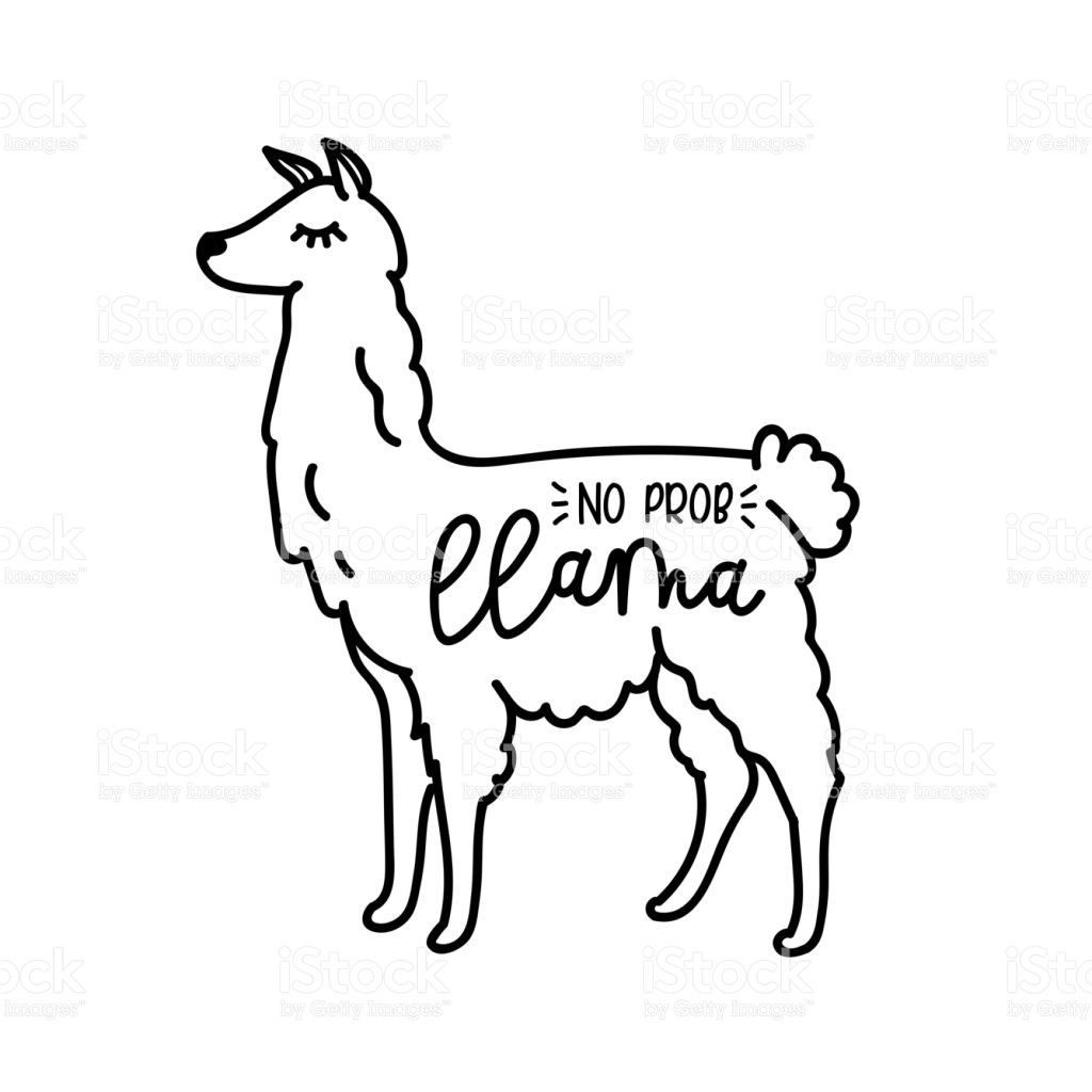 Llama Line Drawing at PaintingValley.com | Explore collection of Llama ...