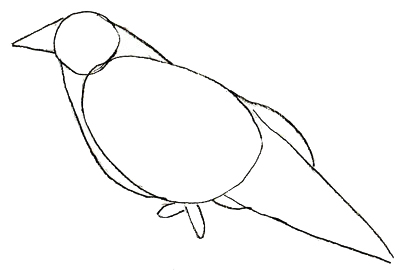 Outline Of A Drawing at PaintingValley.com | Explore collection of ...