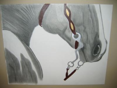 Paint Horse Drawing at PaintingValley.com | Explore collection of Paint Horse Drawing