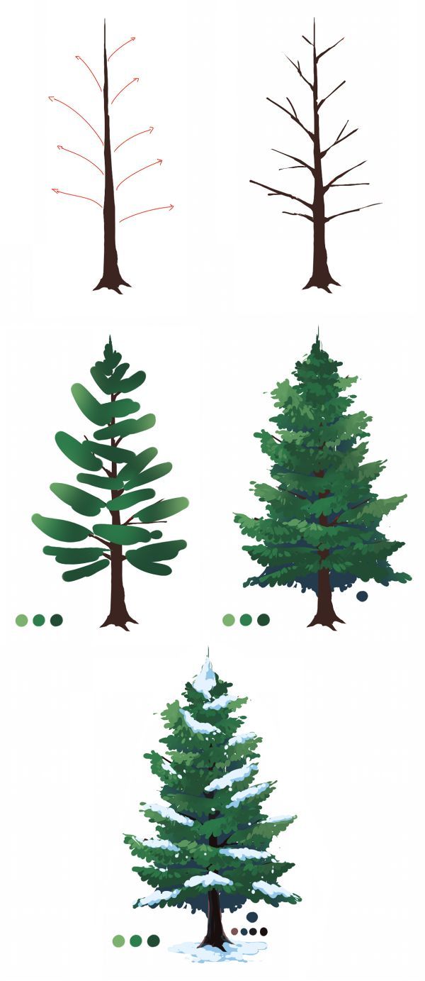 Pine Tree Drawing Tutorial at PaintingValley.com | Explore collection ...