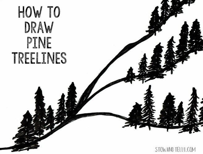 Pine Tree Line Drawing at PaintingValley.com | Explore collection of ...