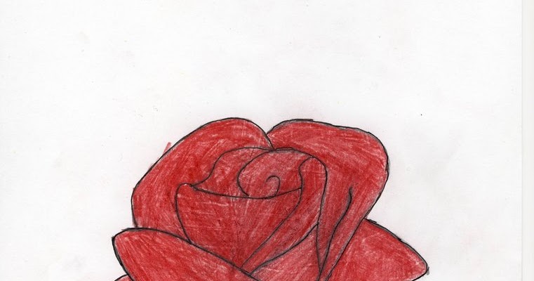 Rose Drawing In Color at PaintingValley.com | Explore collection of ...