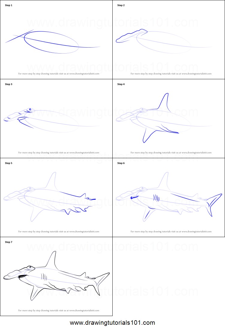 Shark Drawing Step By Step at PaintingValley.com | Explore collection ...