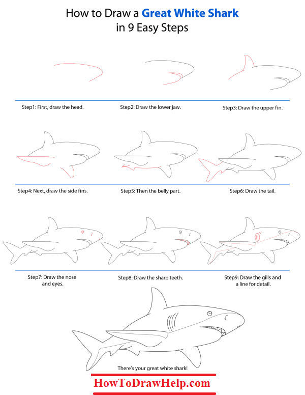 Shark Drawing Step By Step at PaintingValley.com | Explore collection ...
