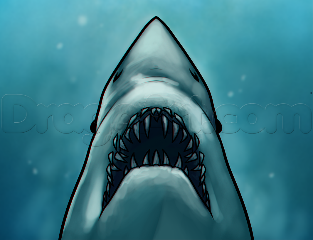 Shark Jaw Drawing at PaintingValley.com | Explore collection of Shark ...