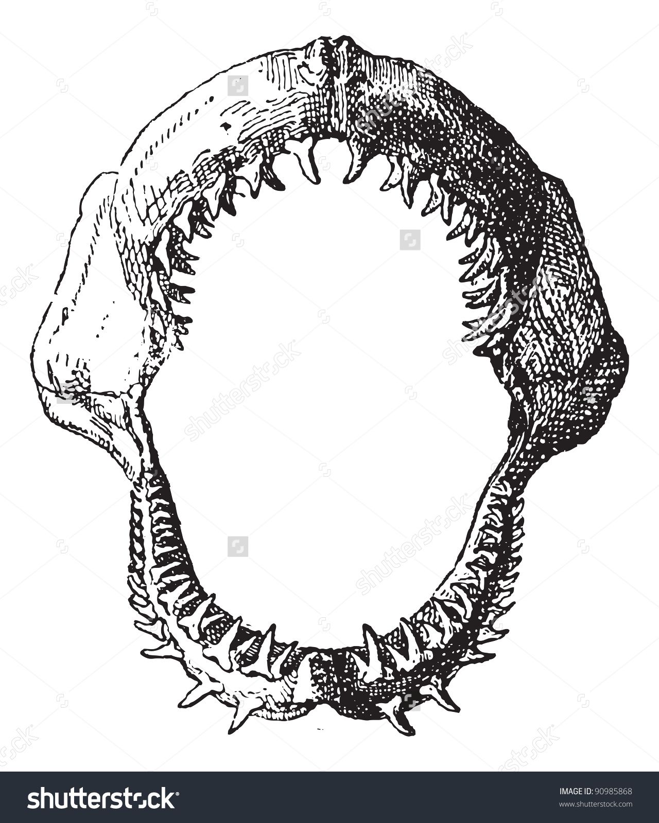 Shark Jaw Drawing at PaintingValley.com | Explore collection of Shark ...