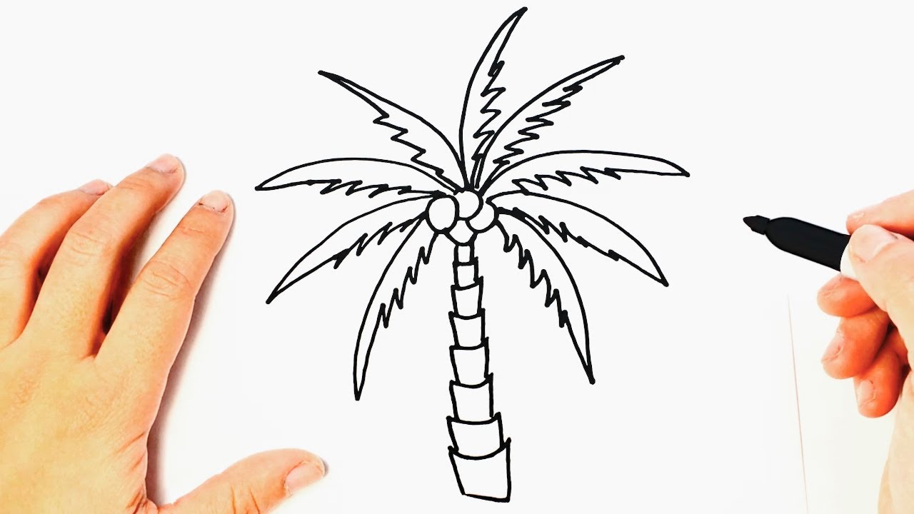 Simple Palm Tree Drawing at PaintingValley.com | Explore collection of ...