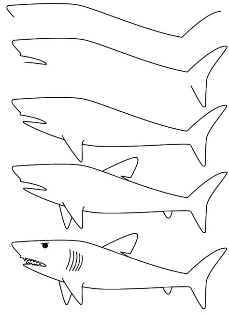 Simple Shark Drawing at PaintingValley.com | Explore collection of ...