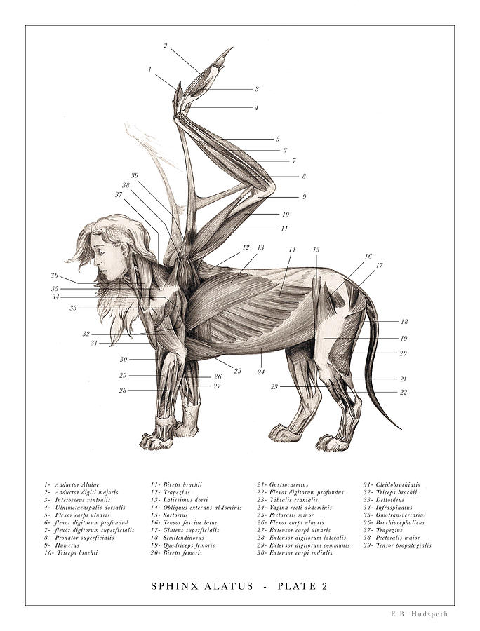 Sphinx Drawing at PaintingValley.com | Explore collection of Sphinx Drawing