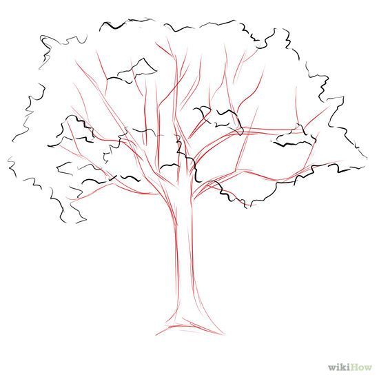 Spring Tree Drawing at PaintingValley.com | Explore collection of ...