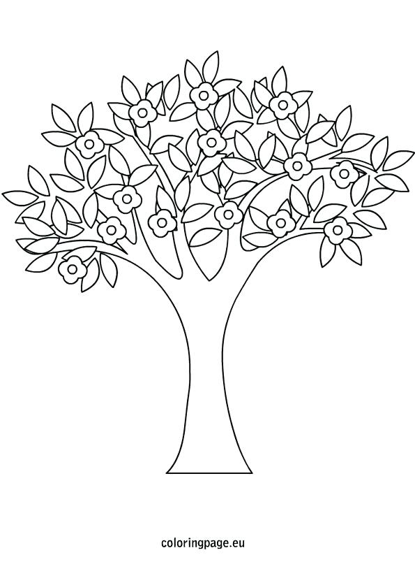 Spring Tree Drawing at PaintingValley.com | Explore collection of ...