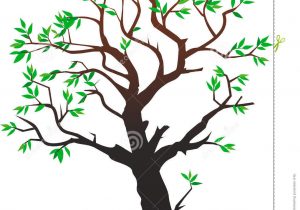 Spring Tree Drawing at PaintingValley.com | Explore collection of ...