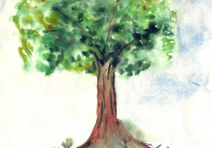 Spring Tree Drawing at PaintingValley.com | Explore collection of ...