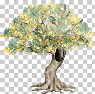 Spring Tree Drawing at PaintingValley.com | Explore collection of ...