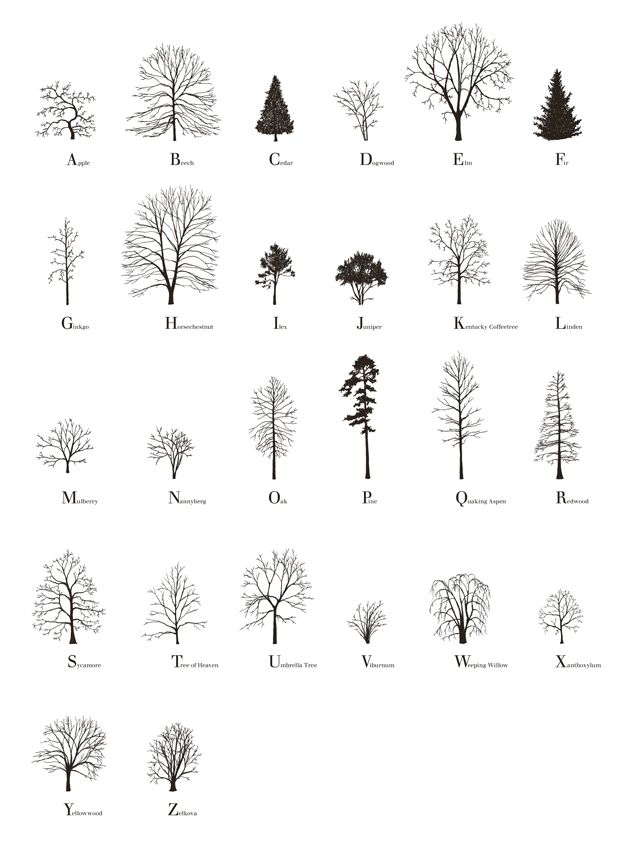 Tree Architecture Drawing at PaintingValley.com | Explore collection of ...