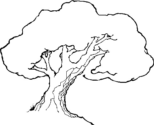 Tree Line Drawing at PaintingValley.com | Explore collection of Tree ...