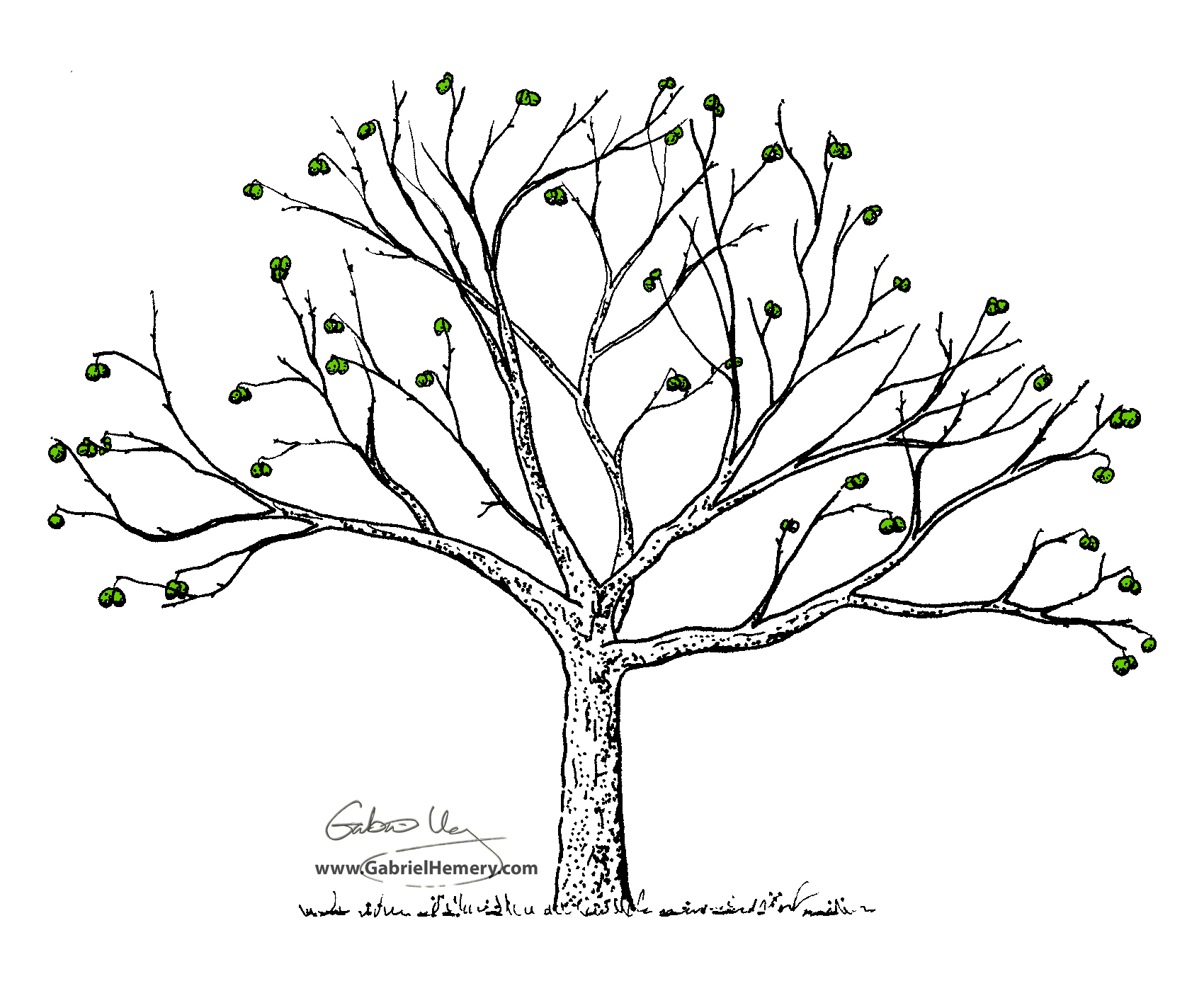 Tree No Leaves Drawing at PaintingValley.com | Explore collection of ...