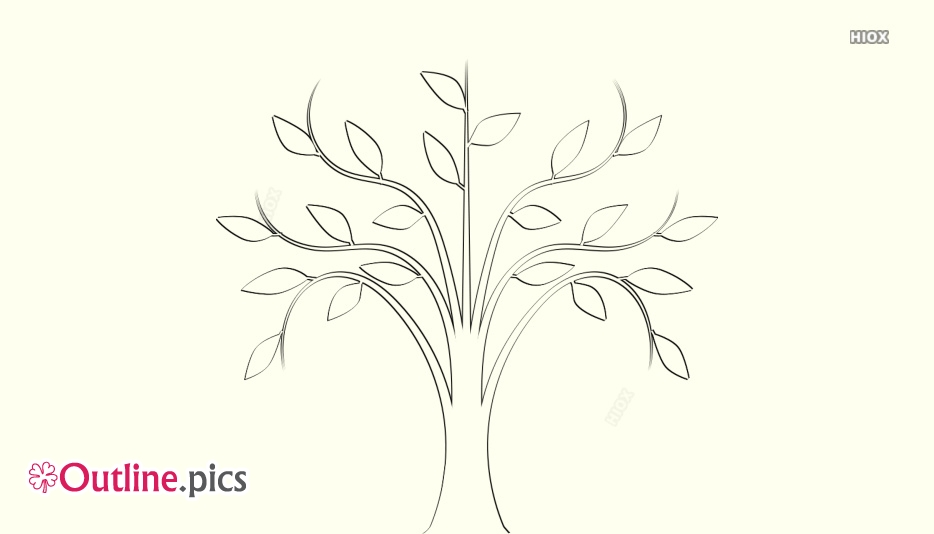 Tree Outline Drawing at PaintingValley.com | Explore collection of Tree ...