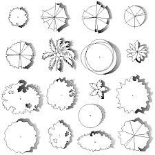 Tree Plan Drawing at PaintingValley.com | Explore collection of Tree ...