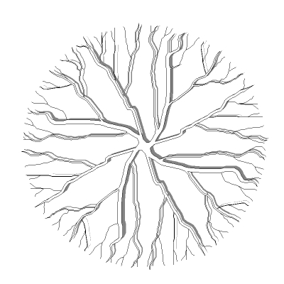 Tree Plan Drawing at PaintingValley.com | Explore collection of Tree ...