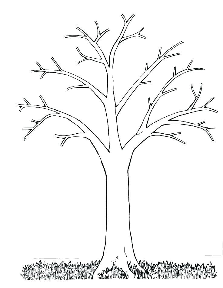 Tree Trunk Drawing at PaintingValley.com | Explore collection of Tree ...