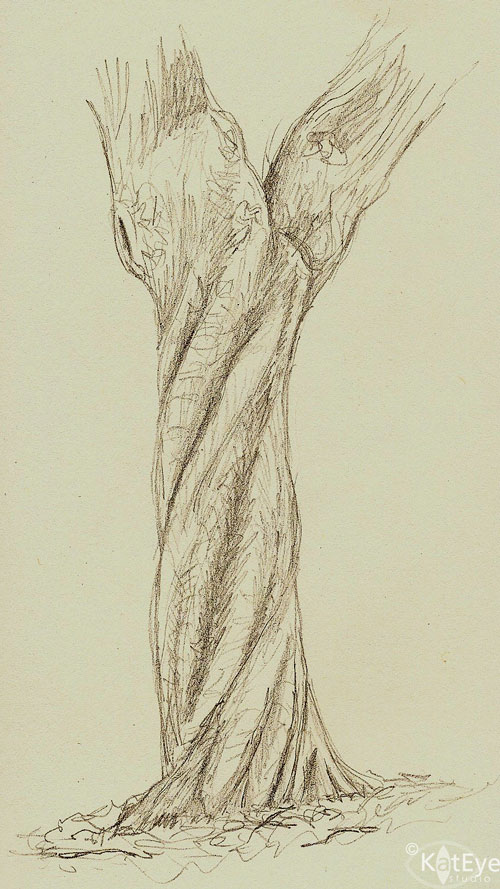 Tree Trunk Drawing at PaintingValley.com | Explore collection of Tree ...