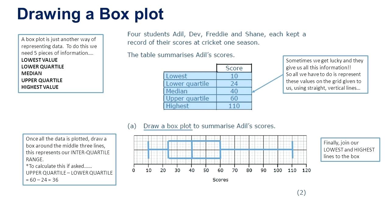 Whisker Drawing at PaintingValley.com | Explore collection of Whisker ...